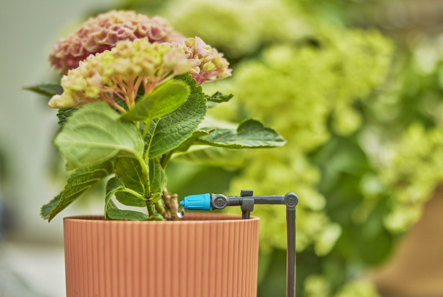 Gardena Micro-Drip System – Tropfbewässerung für deinen Garten