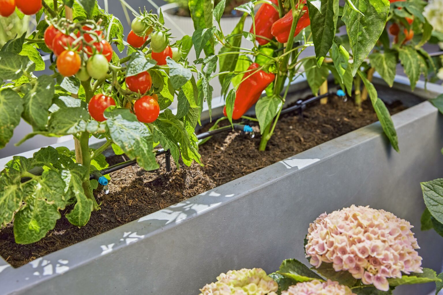Gardena Micro-Drip System – Tropfbewässerung für deinen Garten